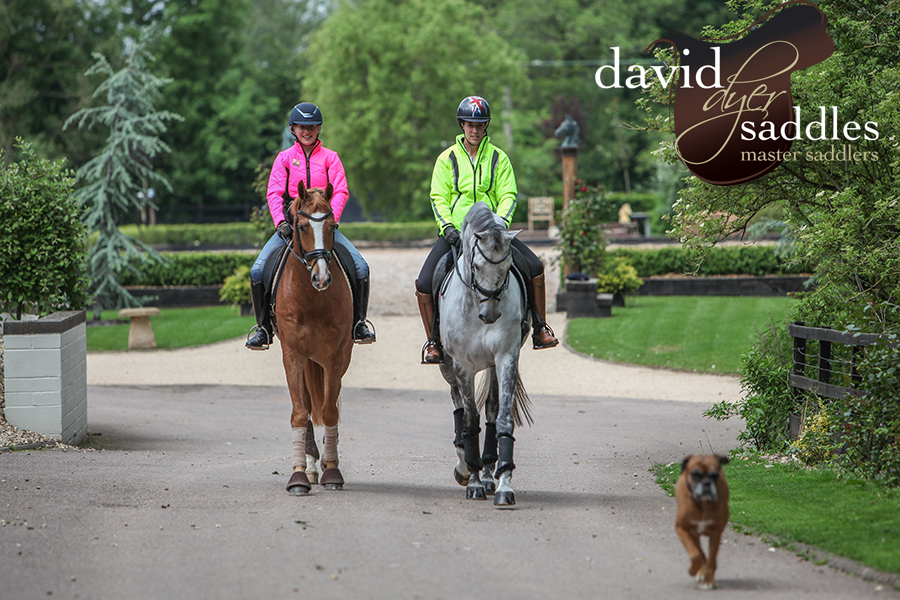 David Dyer Saddles at Frogpool Manor Farm - Equestrian Supplies Shop