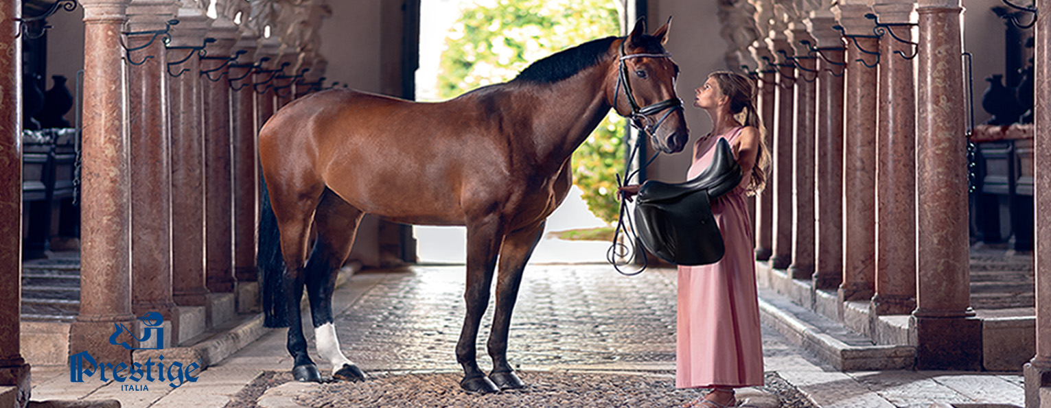 David Dyer Saddles at Frogpool Manor Farm - Equestrian Supplies Shop