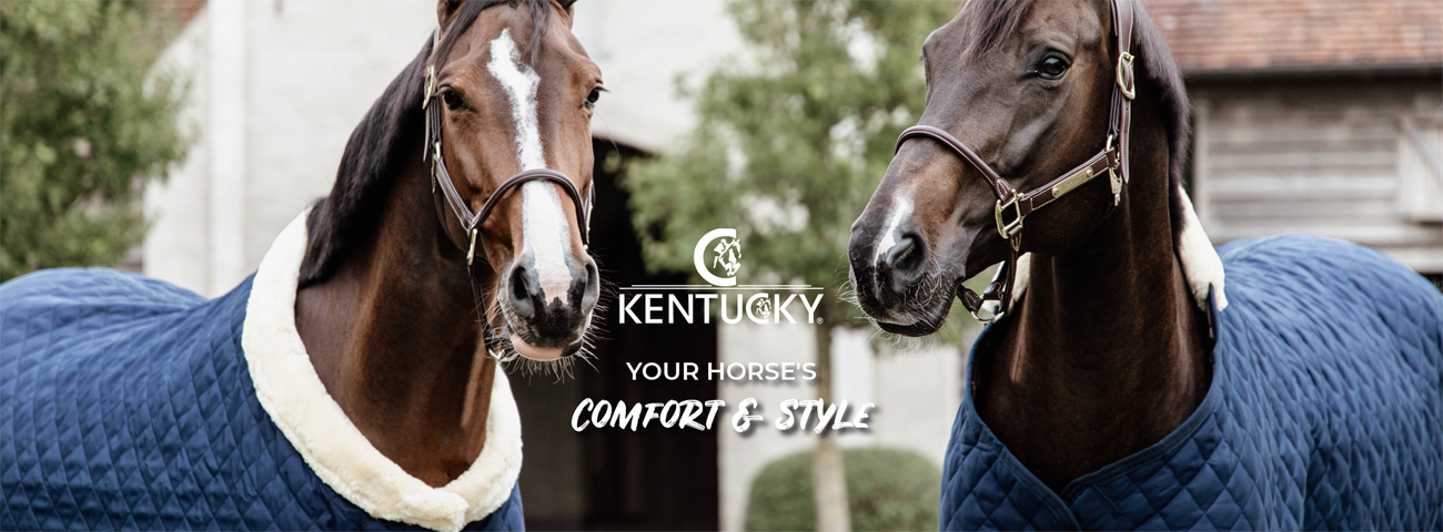 David Dyer Saddles at Frogpool Manor Farm - Equestrian Supplies Shop