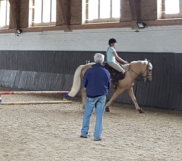 David Dyer Saddles at Frogpool Manor Farm - Equestrian Supplies Shop